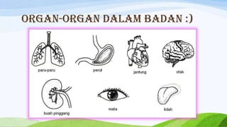 Manusia sebagai organisma yang kompleks | PPTX