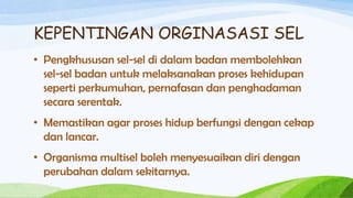 Manusia sebagai organisma yang kompleks | PPTX