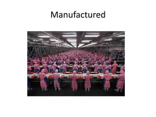 Manu vocab words | PPTX