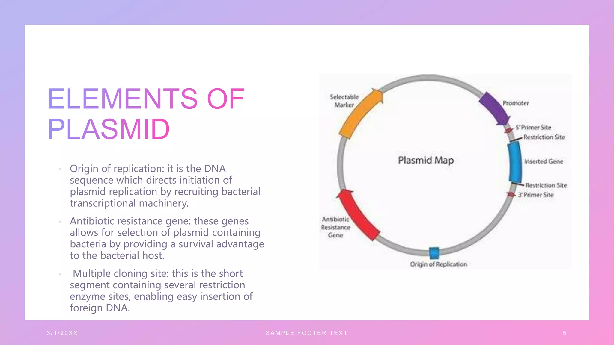 plasmid | PPT