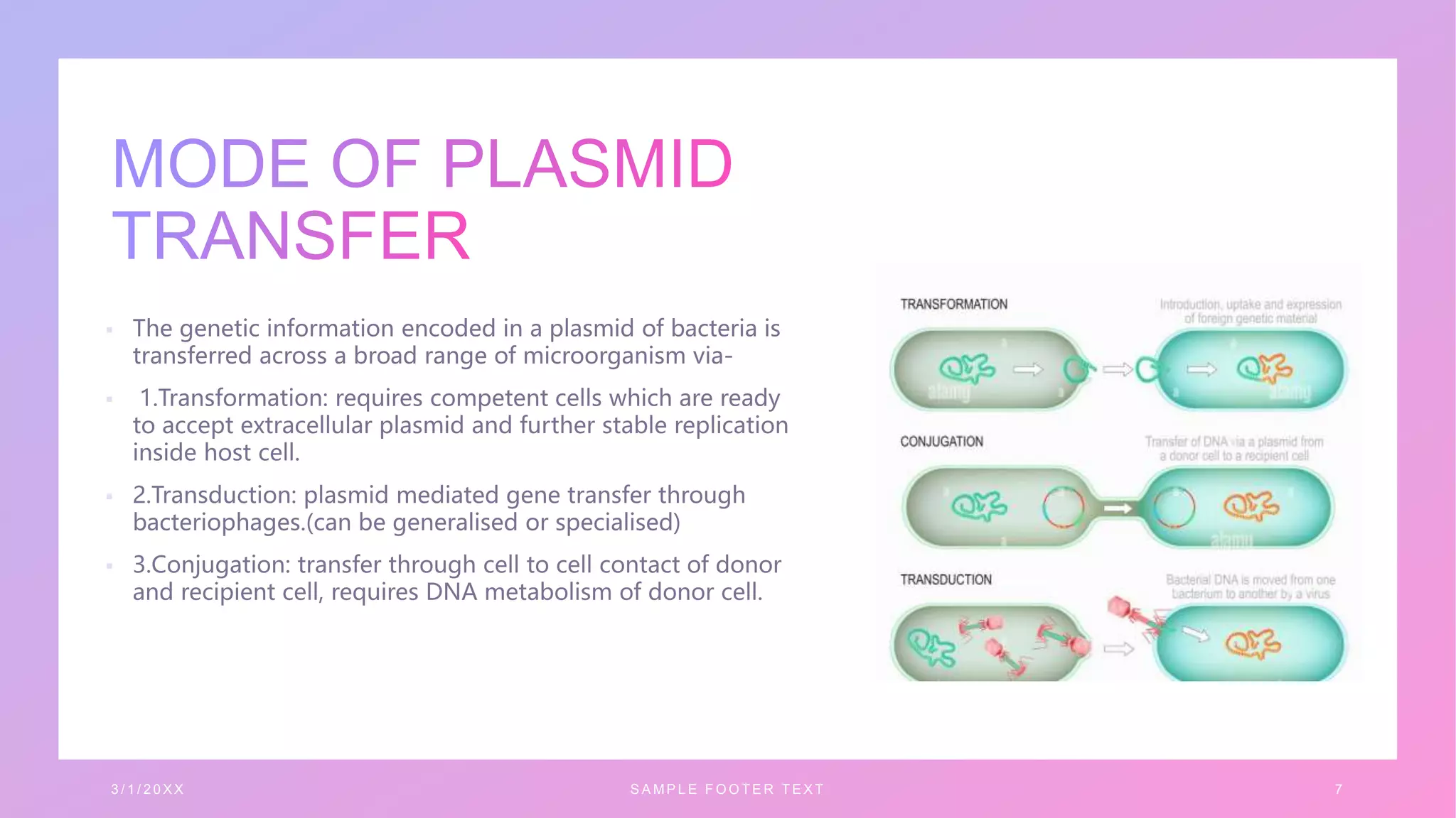 plasmid | PPT