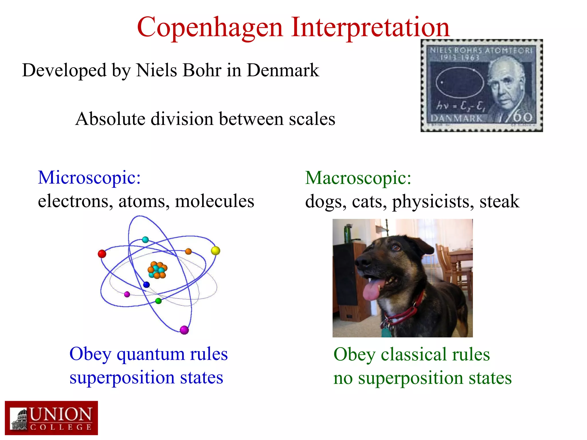 Quantum Physics for Dogs: Many Worlds, Many Treats? | PPT