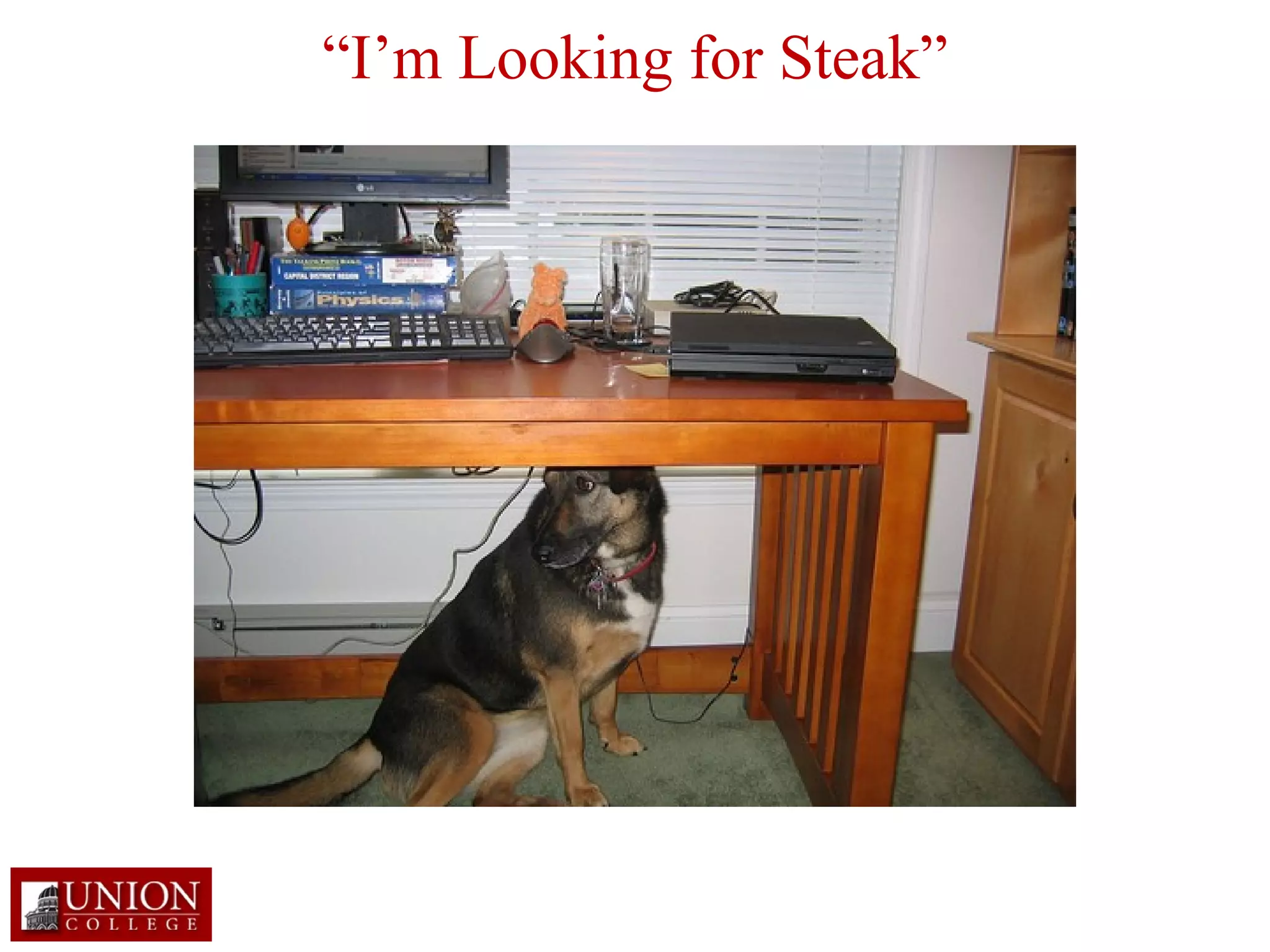 Quantum Physics for Dogs: Many Worlds, Many Treats? | PPT