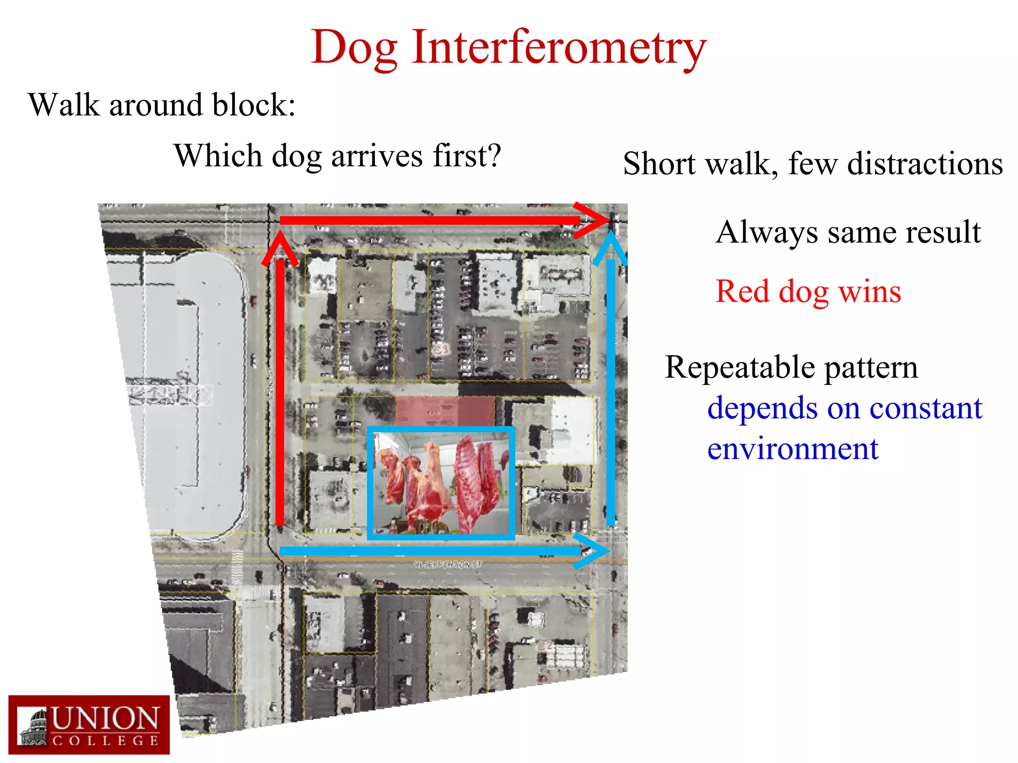 Quantum Physics for Dogs: Many Worlds, Many Treats? | PPT