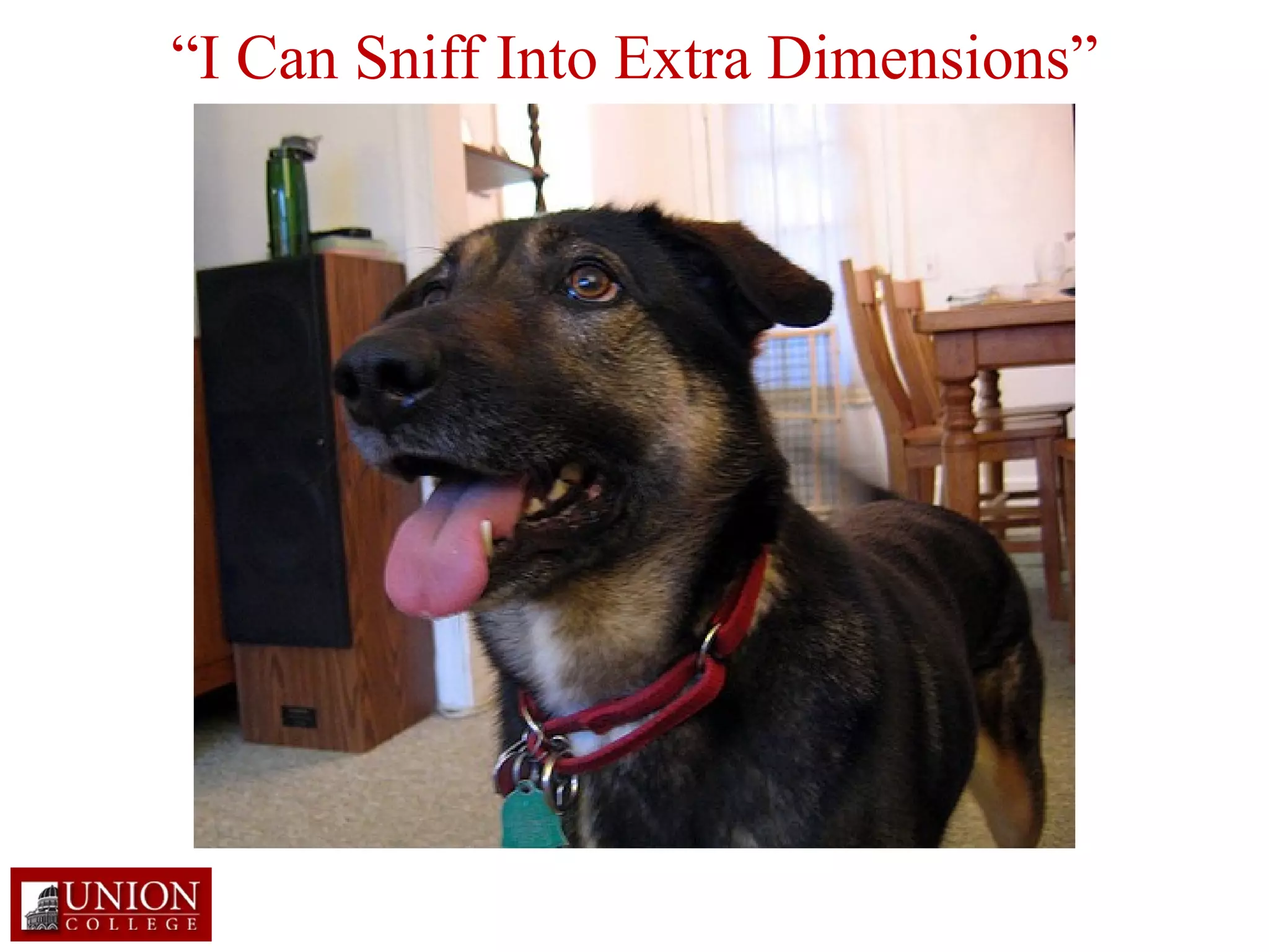 Quantum Physics for Dogs: Many Worlds, Many Treats? | PPT