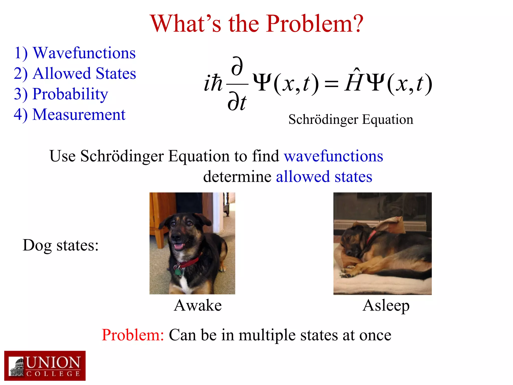 Quantum Physics for Dogs: Many Worlds, Many Treats? | PPT