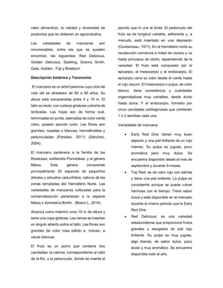 análisis nutrimental de la manzana | PDF