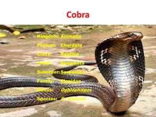 scientific classification | PPTX | Reptiles | Pets