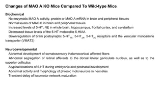 Mono Amine Oxidase | PDF