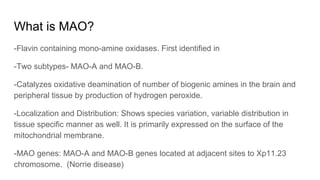 Mono Amine Oxidase | PDF