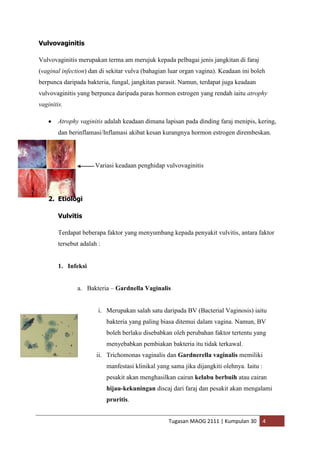 Vaginitis, Vulvitis dan Vulvovaginitis | DOCX
