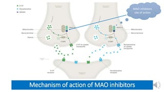 MAO inhibitors should be contraindicated with dairy (milk containing ...