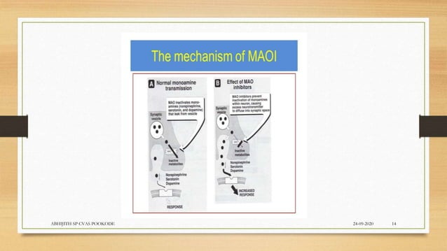 Mao ; mao inhibitors | PPTX | Brain and Nervous System Disorders ...