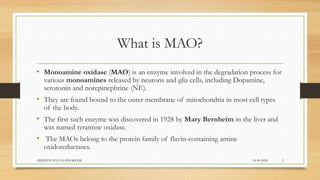 Mao ; mao inhibitors | PPTX | Brain and Nervous System Disorders ...