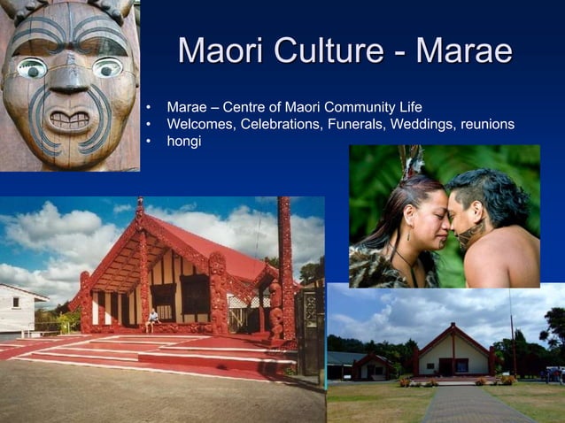 maori culture.pptx. This powerpoint is about the people in NZ | PPTX