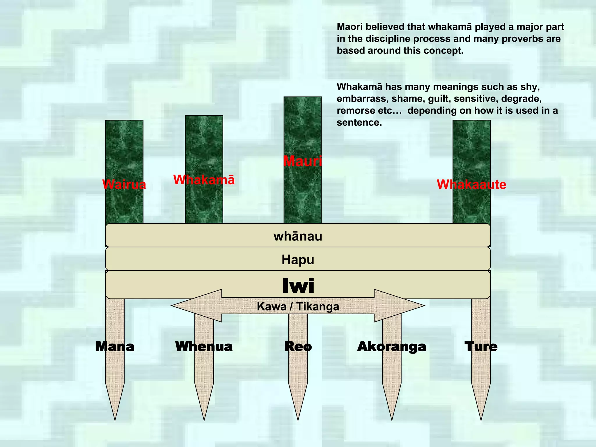 Maori Identity | PPT