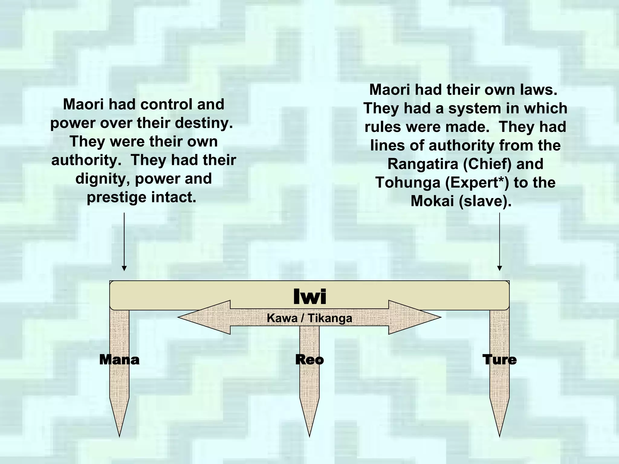 Maori Identity | PPT
