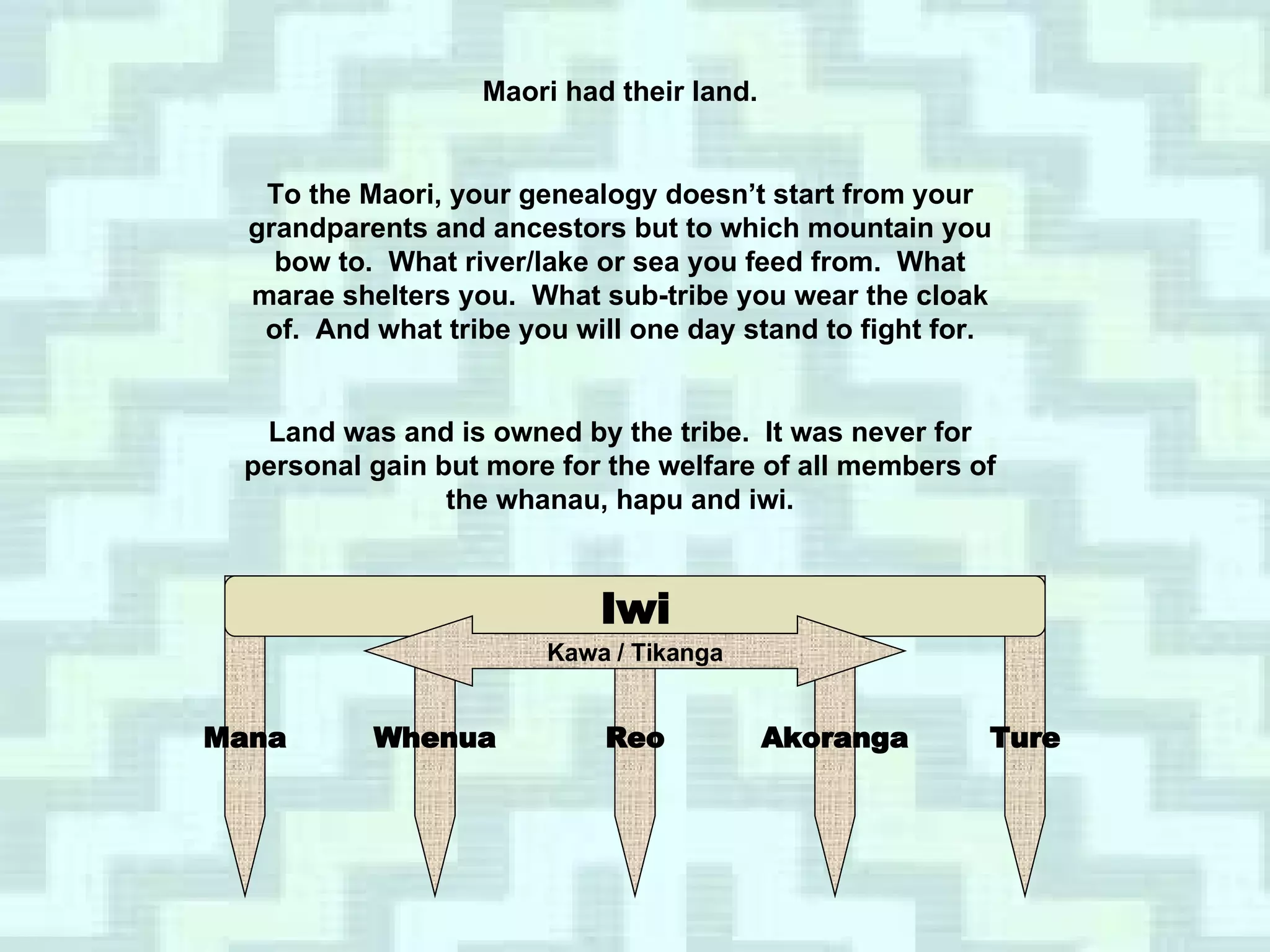 Maori Identity | PPT