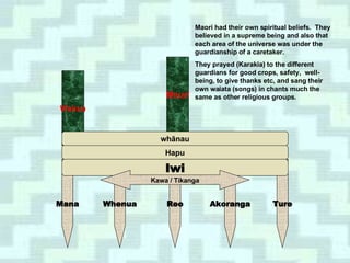 Maori Identity | PPT