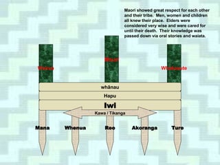 Maori Identity | PPT
