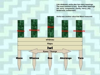 Maori Identity | PPT