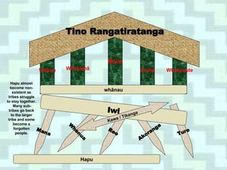 Maori Identity | PPT