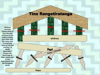 Maori Identity | PPT