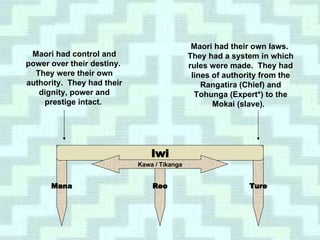 Maori Identity | PPT