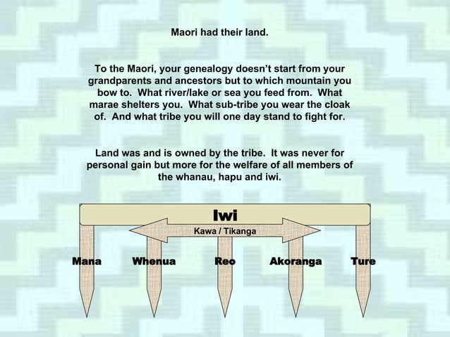 Maori Identity | PPT