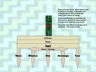 Maori Identity | PPT