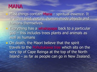 Maori Relationship To Land | PPT