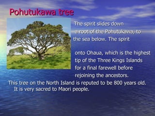 Maori Relationship To Land | PPT