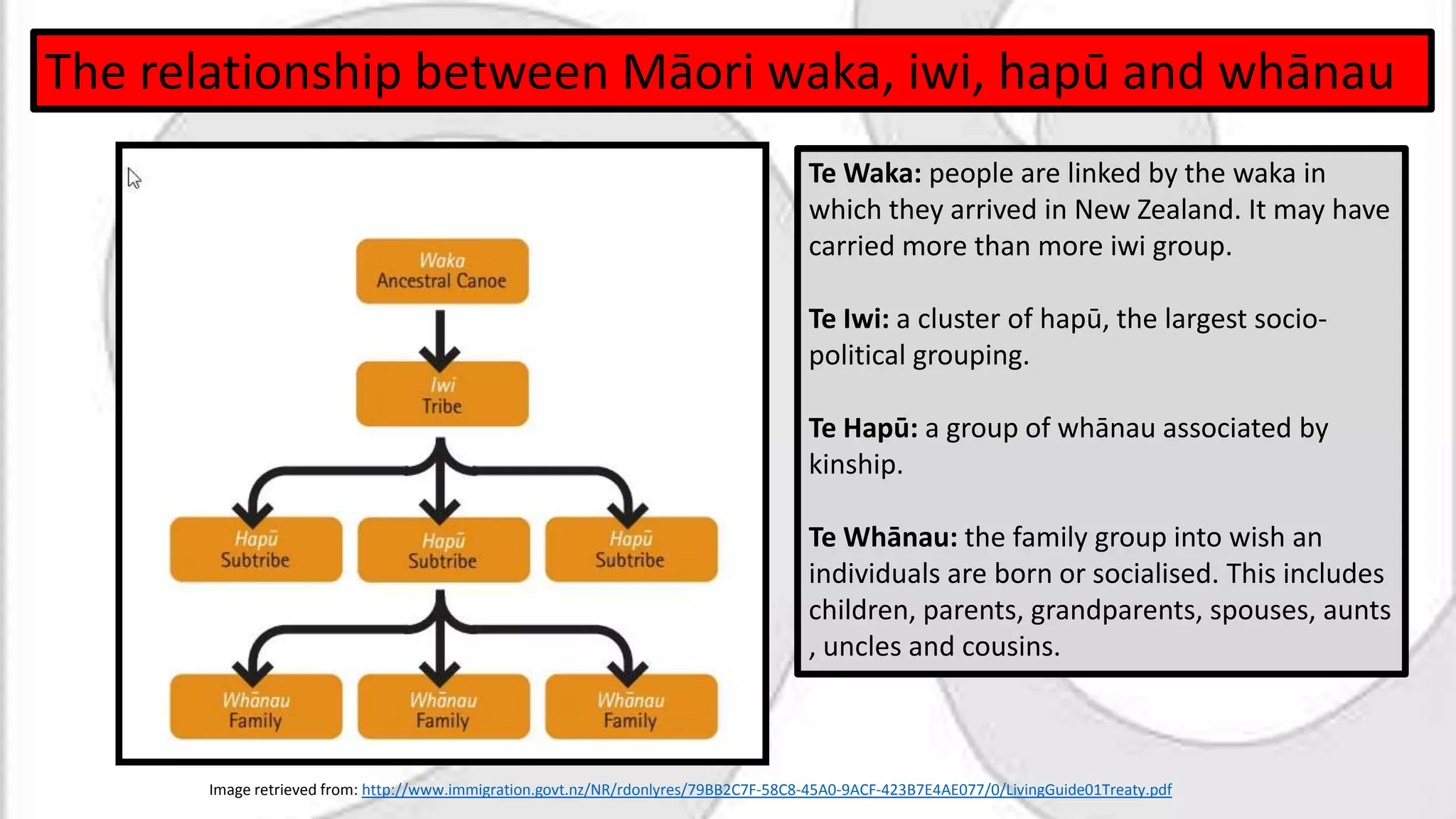 Maori Tribal Structure in the Nelson Region | PPTX