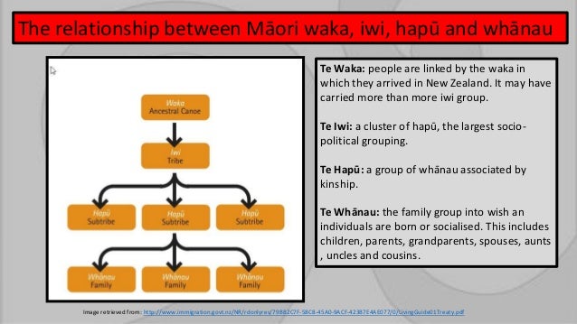 Maori Tribal Structure in the Nelson Region