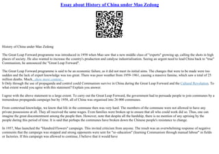 Mao Zedong Summary | PDF