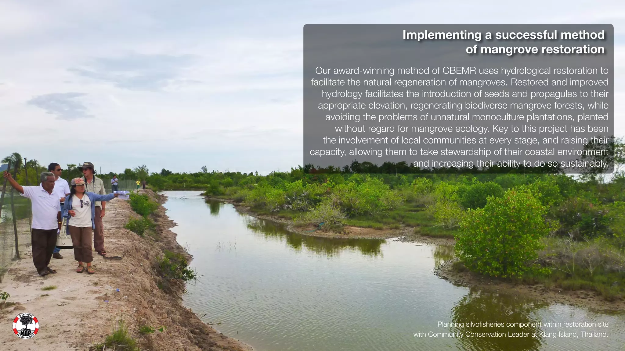MAP Innovative Mangrove Conservation Solutions | PDF