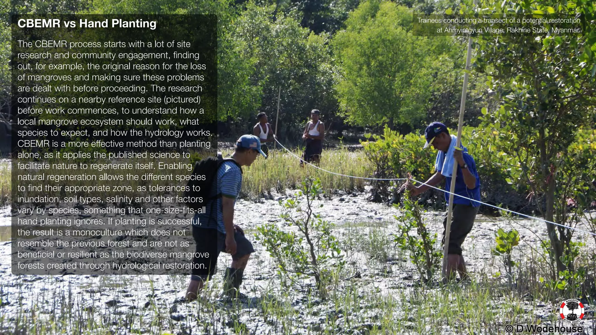 MAP Innovative Mangrove Conservation Solutions | PDF