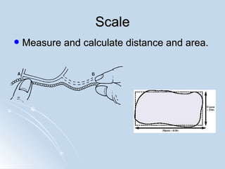 IGCSE - Map Work Basics | PPT
