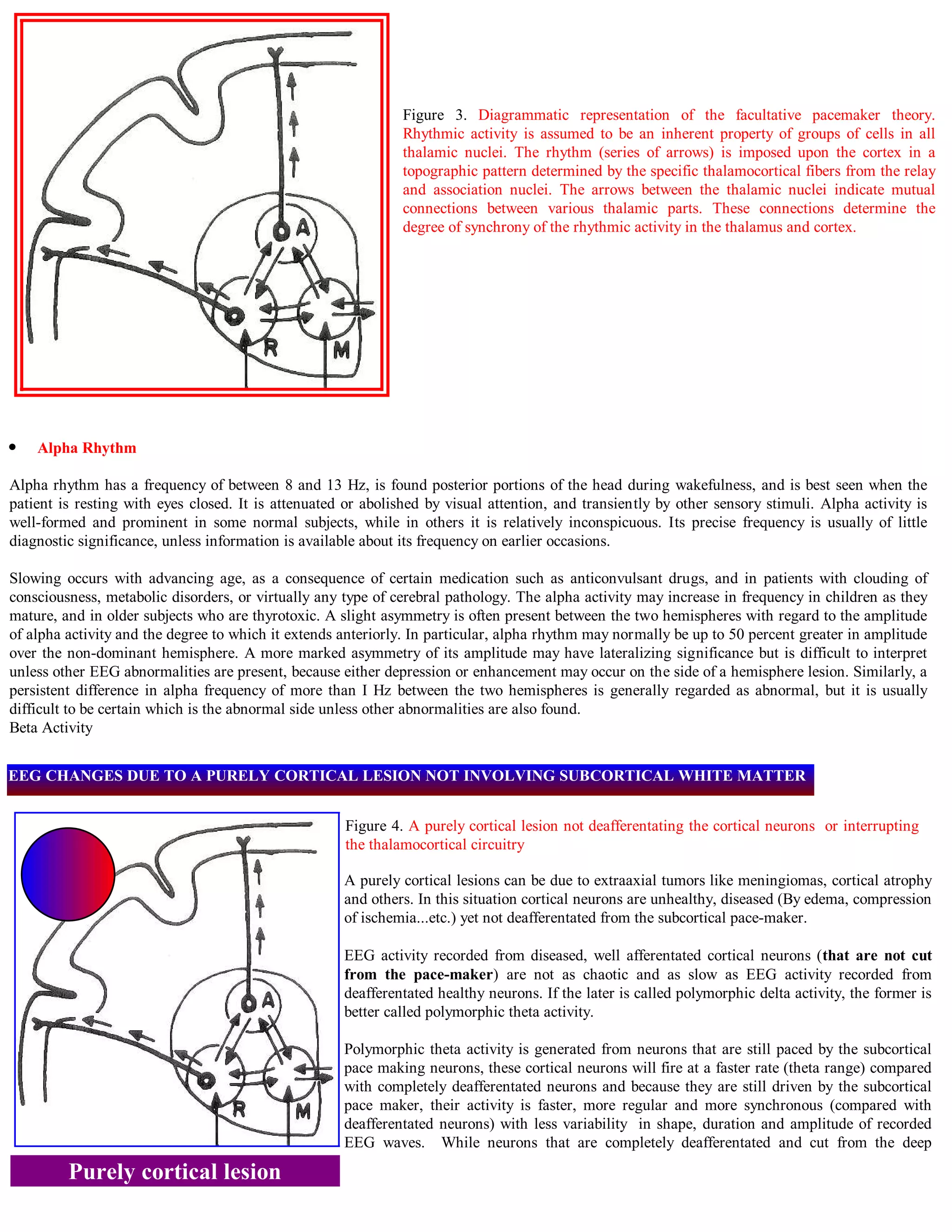 Issues in brainmapping...EEG and brainmap spectral profiles in cortical ...