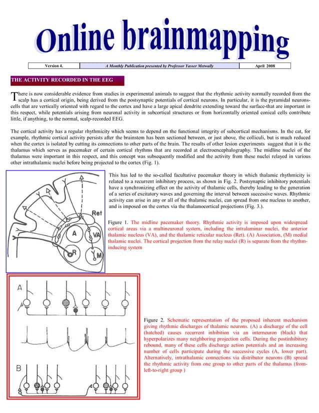 Issues in brainmapping...EEG and brainmap spectral profiles in cortical ...