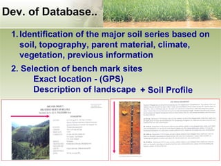 Present Status and Future Needs of Soil Database Development. Country ...