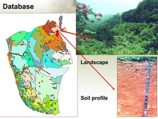 Present Status and Future Needs of Soil Database Development. Country ...
