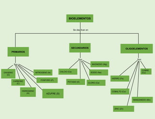 Mapa-conceptual-bioelementos.docx
