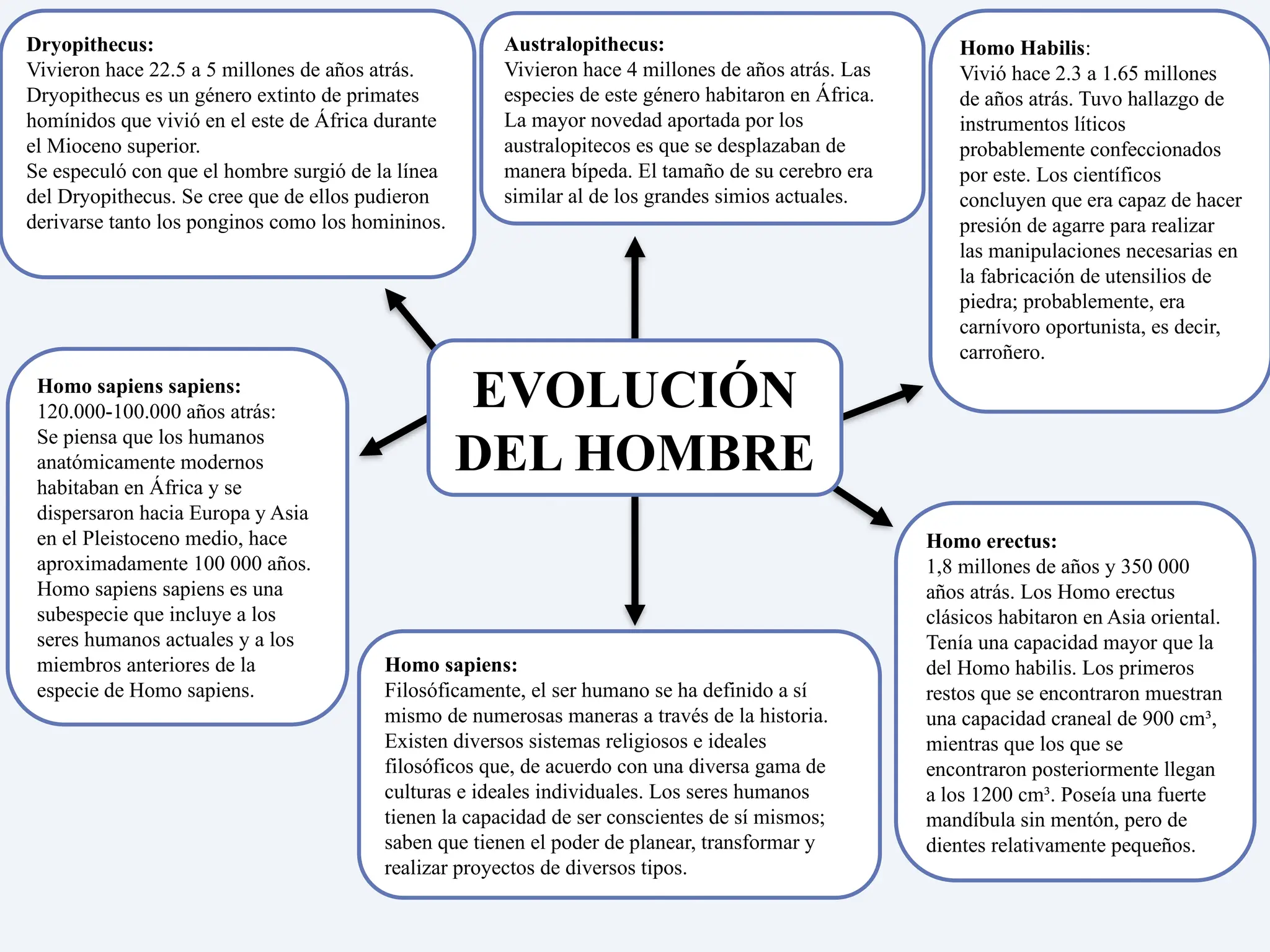 Mapa-conceptual-de-la-Evolucion-del-Hombre-2.pptx