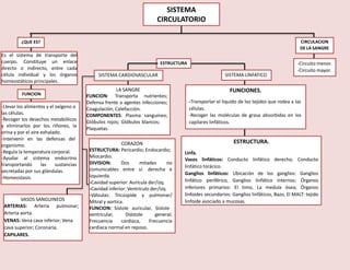 Mapa Conceptual Sistema Circulatorio Es La Unión Entre, 45% OFF