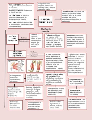 mapa-conceptual-del-sistema-muscular.pptx