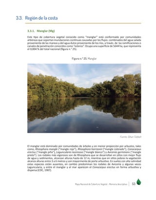 Mapa nacional-de-cobertura-vegetal-final.compressed (1) | PDF