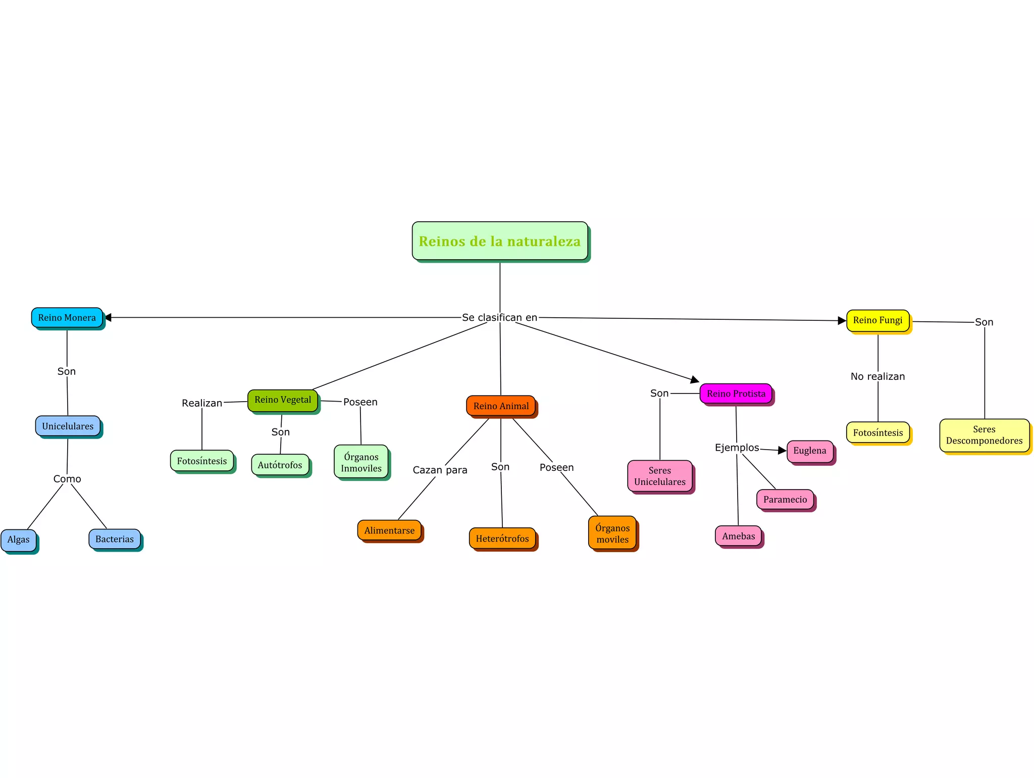 Mapa conceptual | PDF