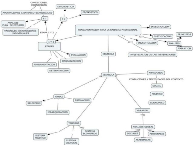 Mapa cap 2 fundamentacion de la carrera profecional