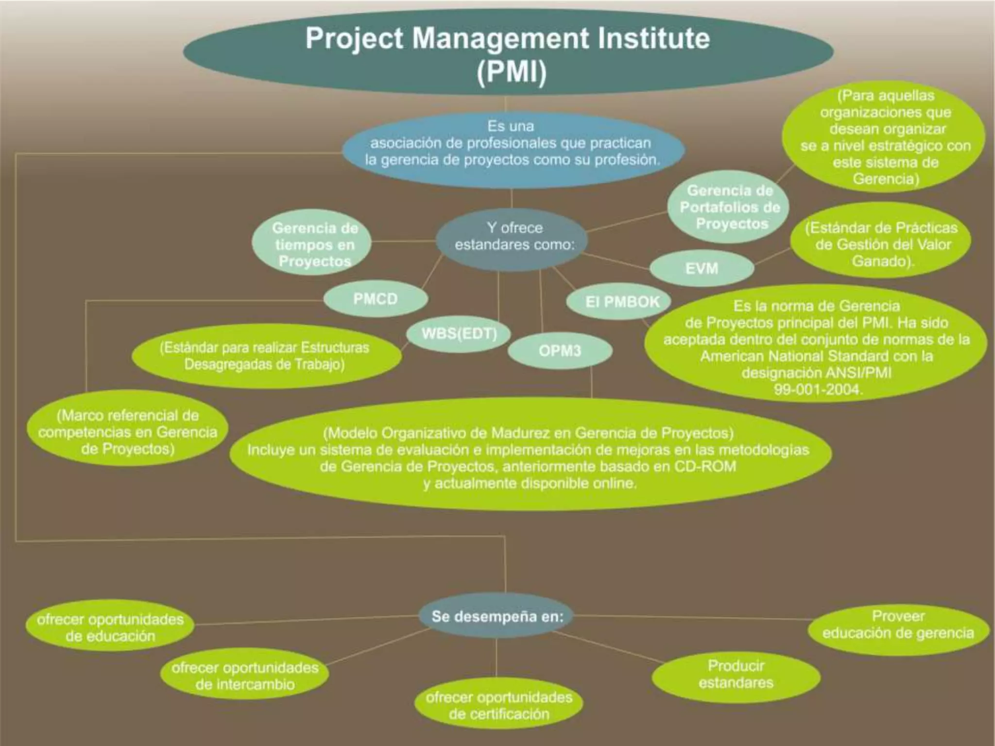 Mapa conceotual pmi | PPTX